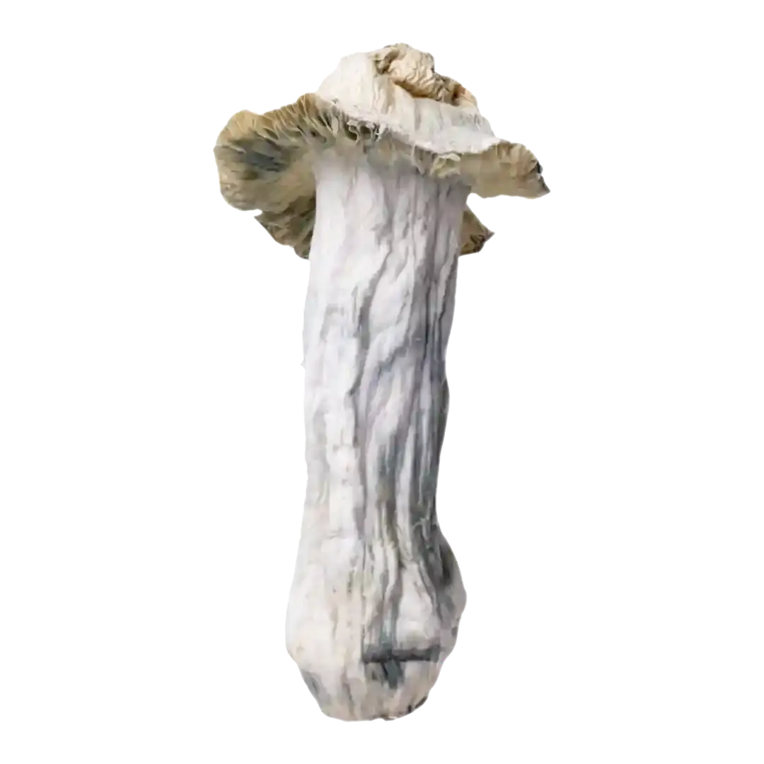 Buy Shakti Online Tripping Balls Buy Shakti Online Tripping Balls
