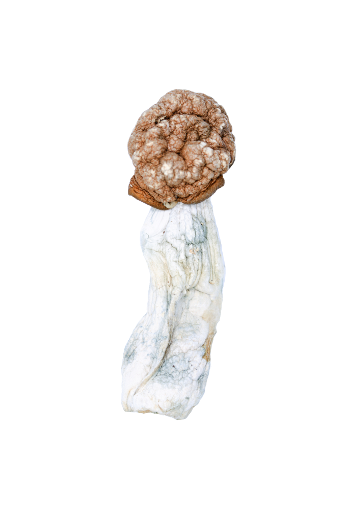 Buy Melmac Online - Tripping Balls